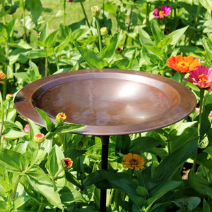 Wayfair | Extra Large Bird Baths You'll Love in 2023